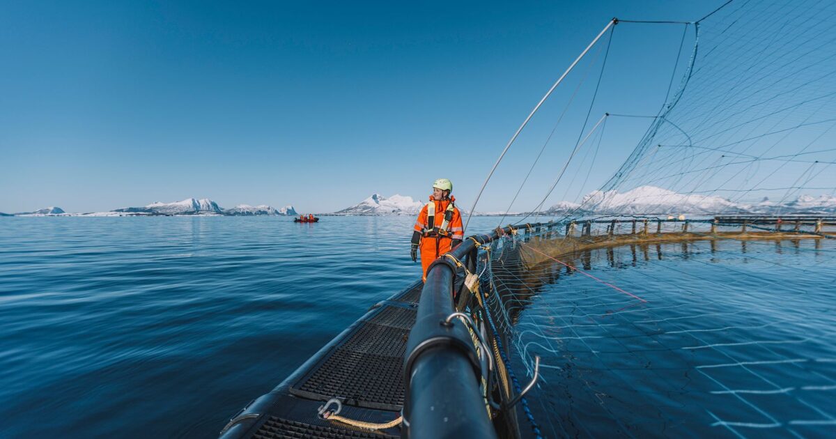 Cermaq launches sustainability report with change in reporting format ...