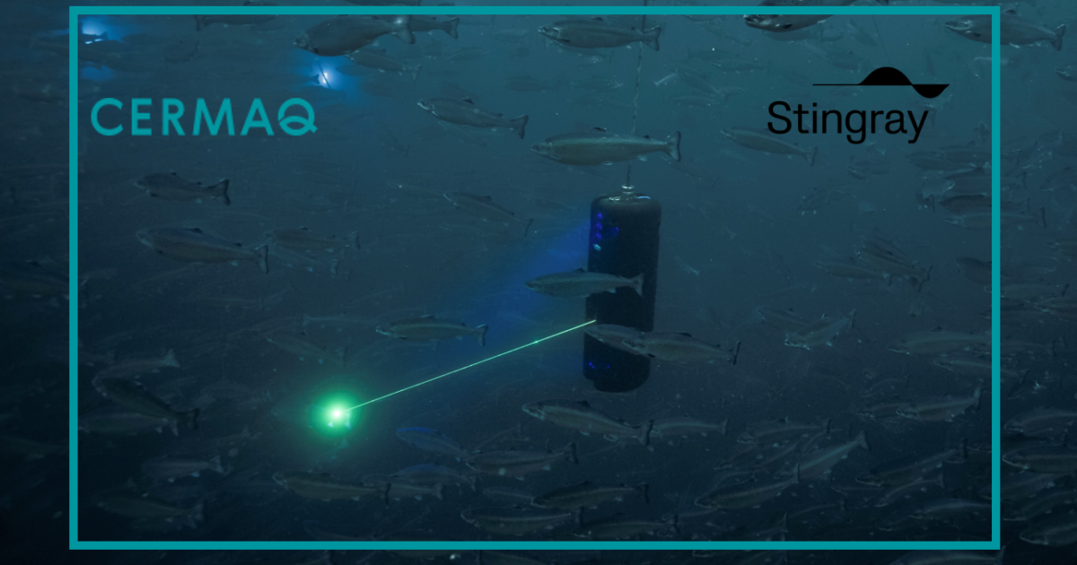 Cermaq Norway uses laser against salmon lice - Cermaq Global