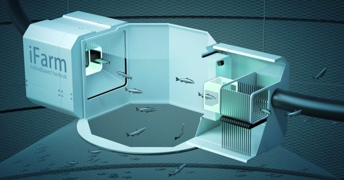 iFarm will transform fish farming from stock management to ...
