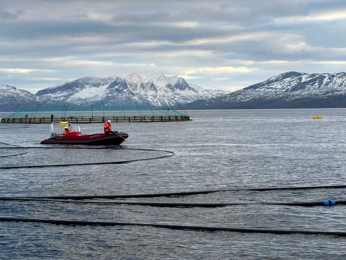 Home - Cermaq Global