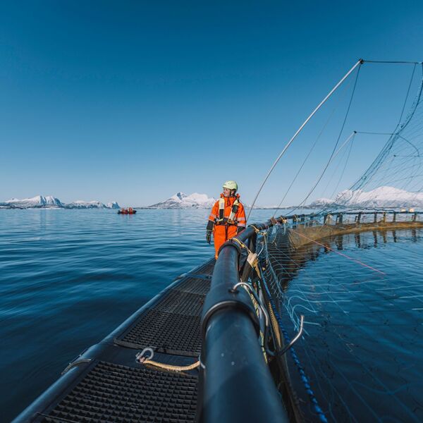 News from Cermaq - Cermaq Global