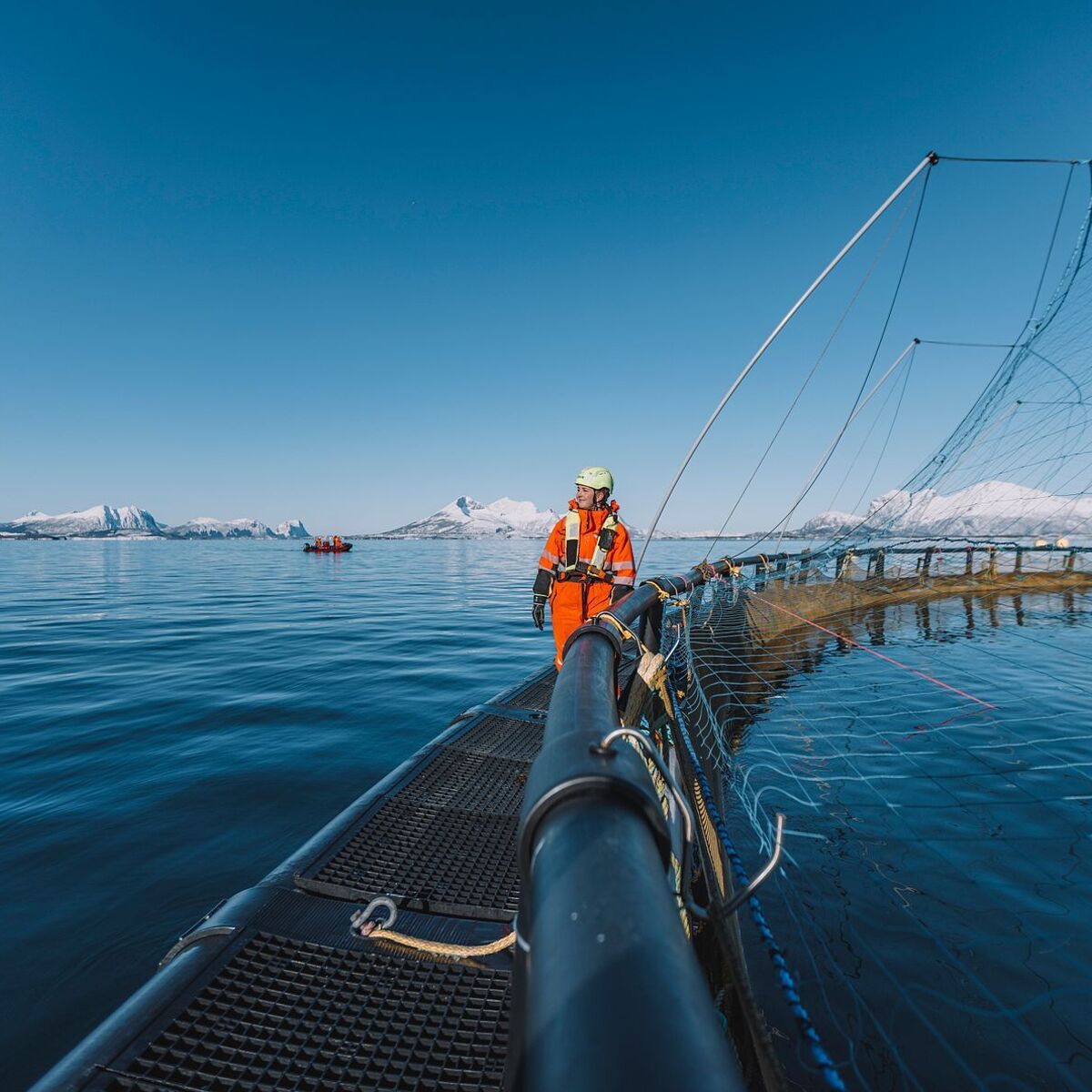 News from Cermaq - Cermaq Global