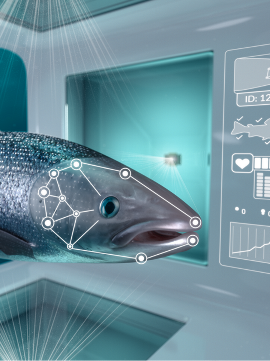 Aquaculture technology - Cermaq Global