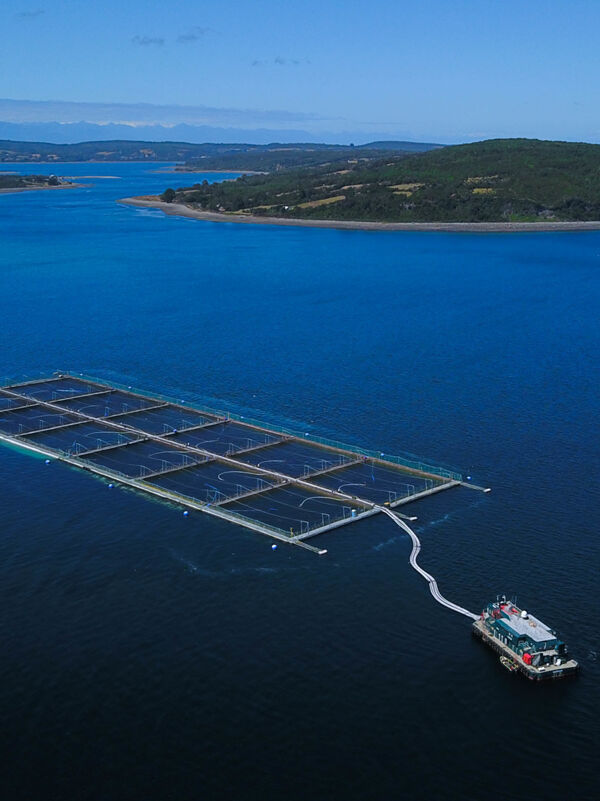 Your salmon supplier - Cermaq Global