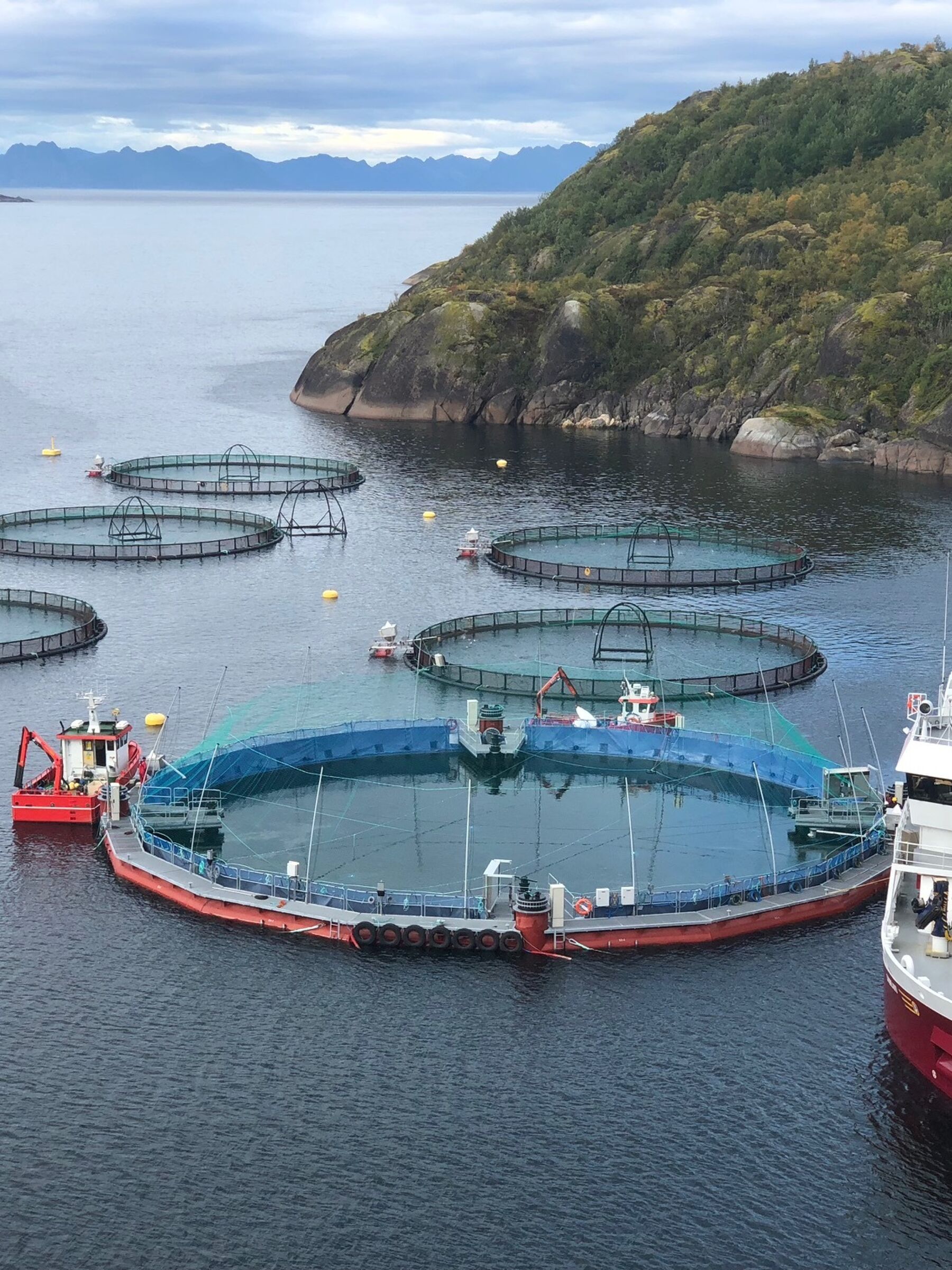 Aquaculture technology - Cermaq Global