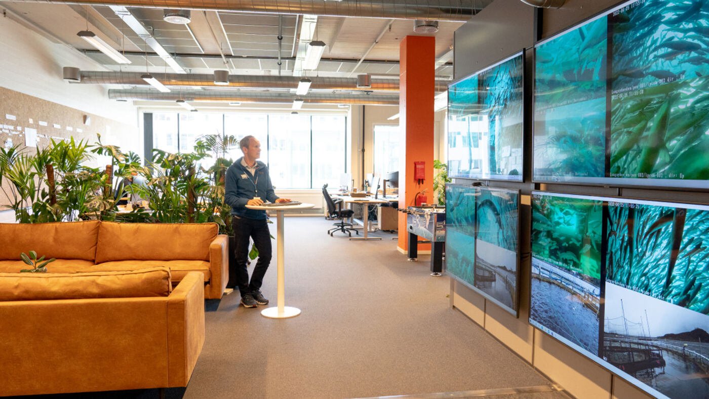 Meet Frank – revolutionising fish health with iFarm - Cermaq Global