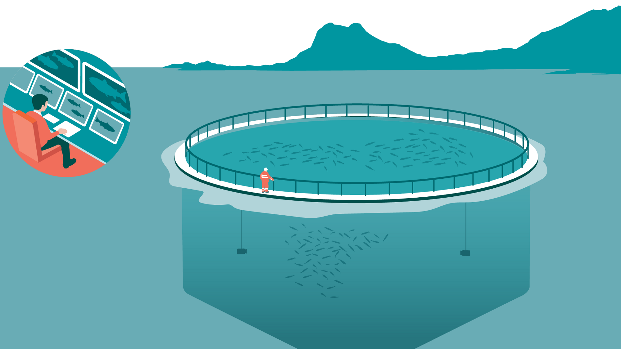 The life of a healthy salmon - Cermaq Global