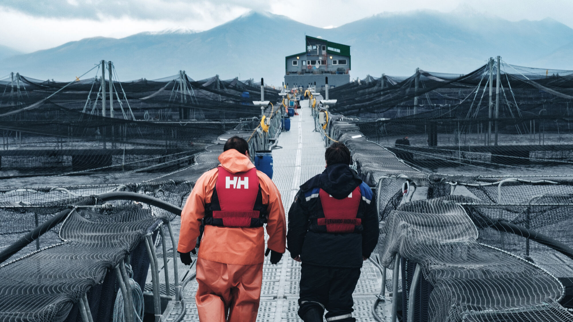 The future of Cermaq - Cermaq Global