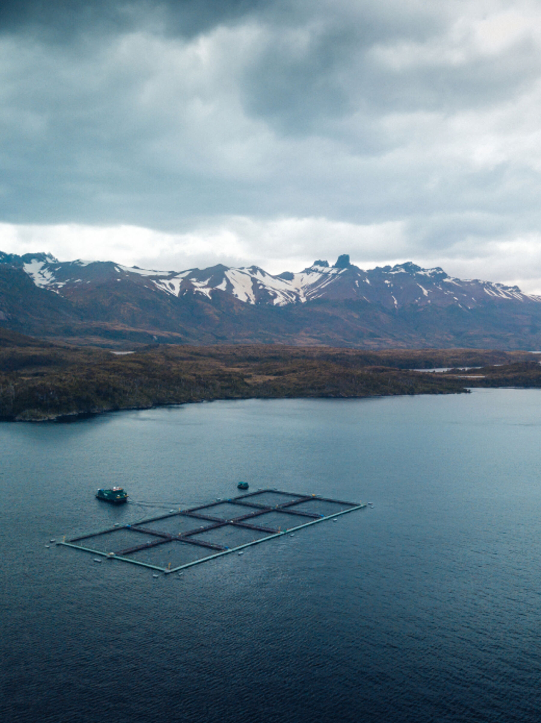 An ocean of possibilities - Cermaq Global