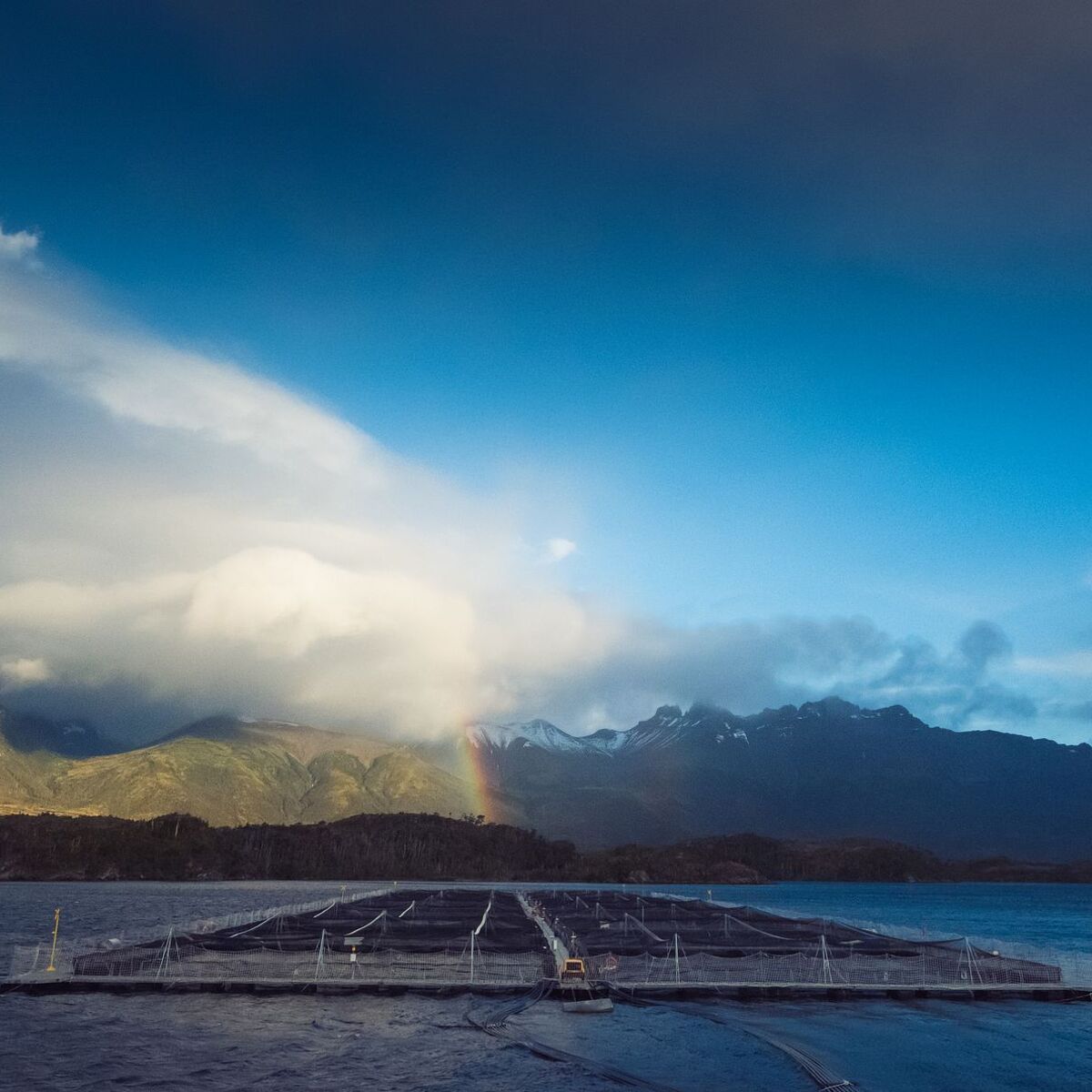 News from Cermaq - Cermaq Global