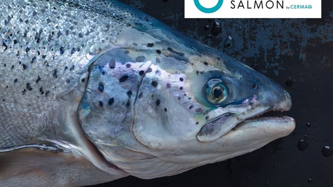 Cermaq launches brand platform: "True Arctic - slow raised salmon ...