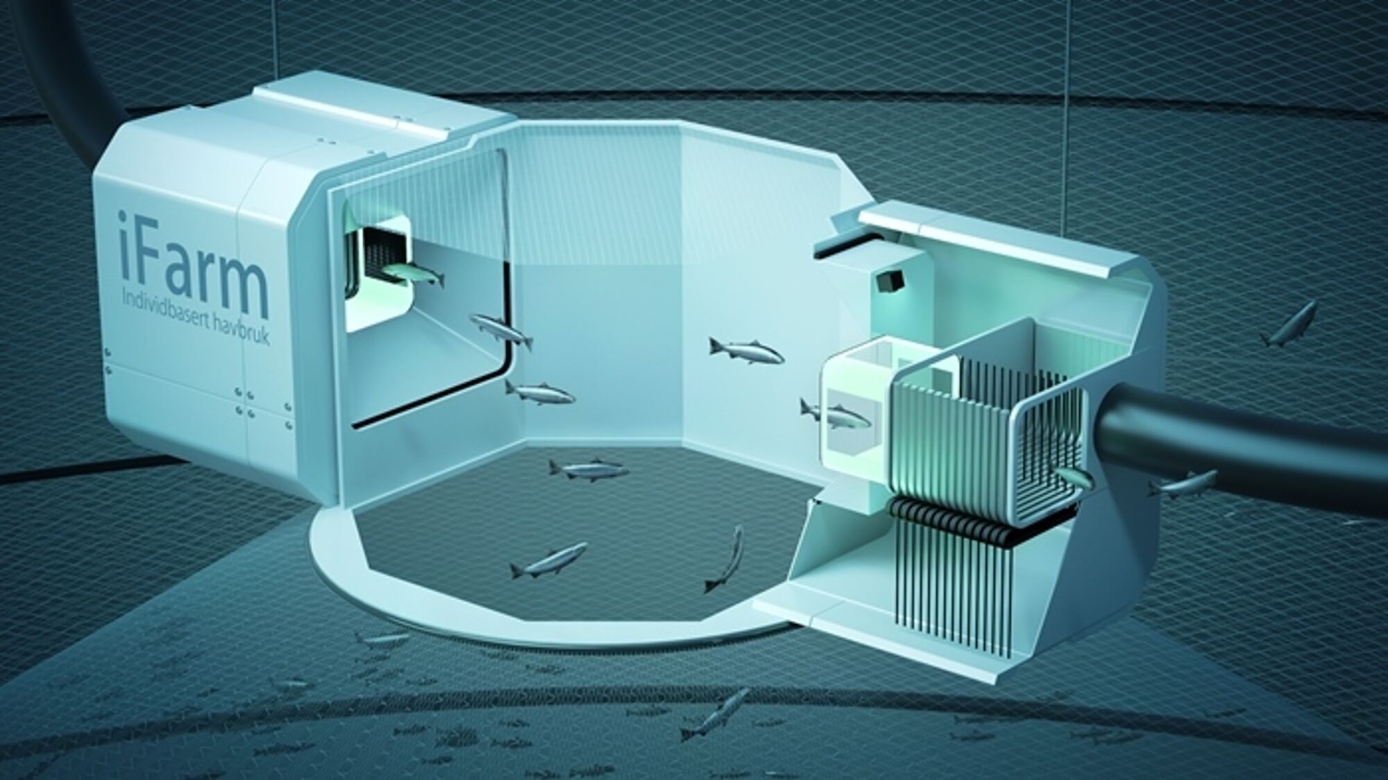 iFarm will transform fish farming from stock management to ...