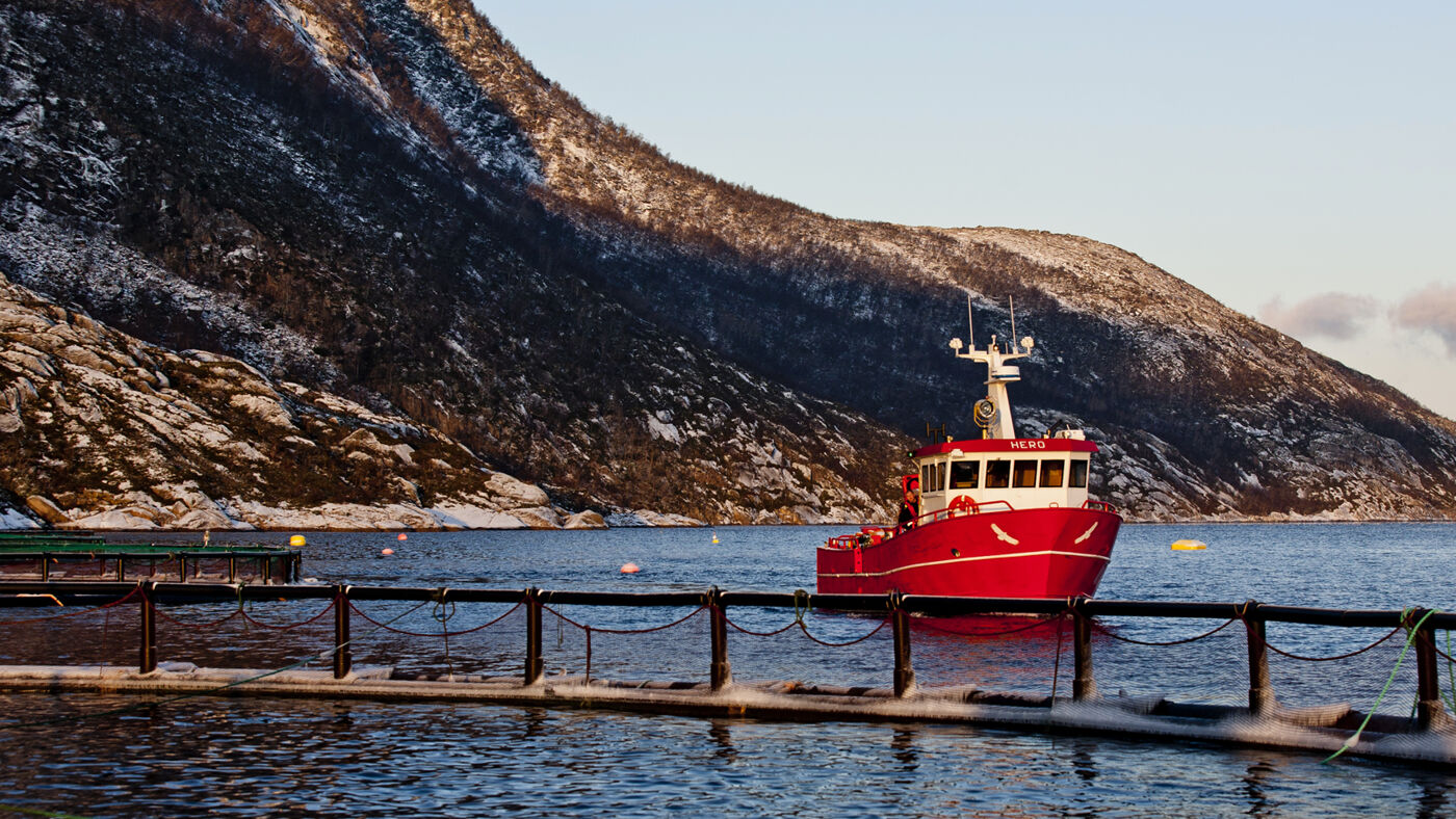 Cermaq’s input to the Norwegian Ministry of Industry and Fisheries ...