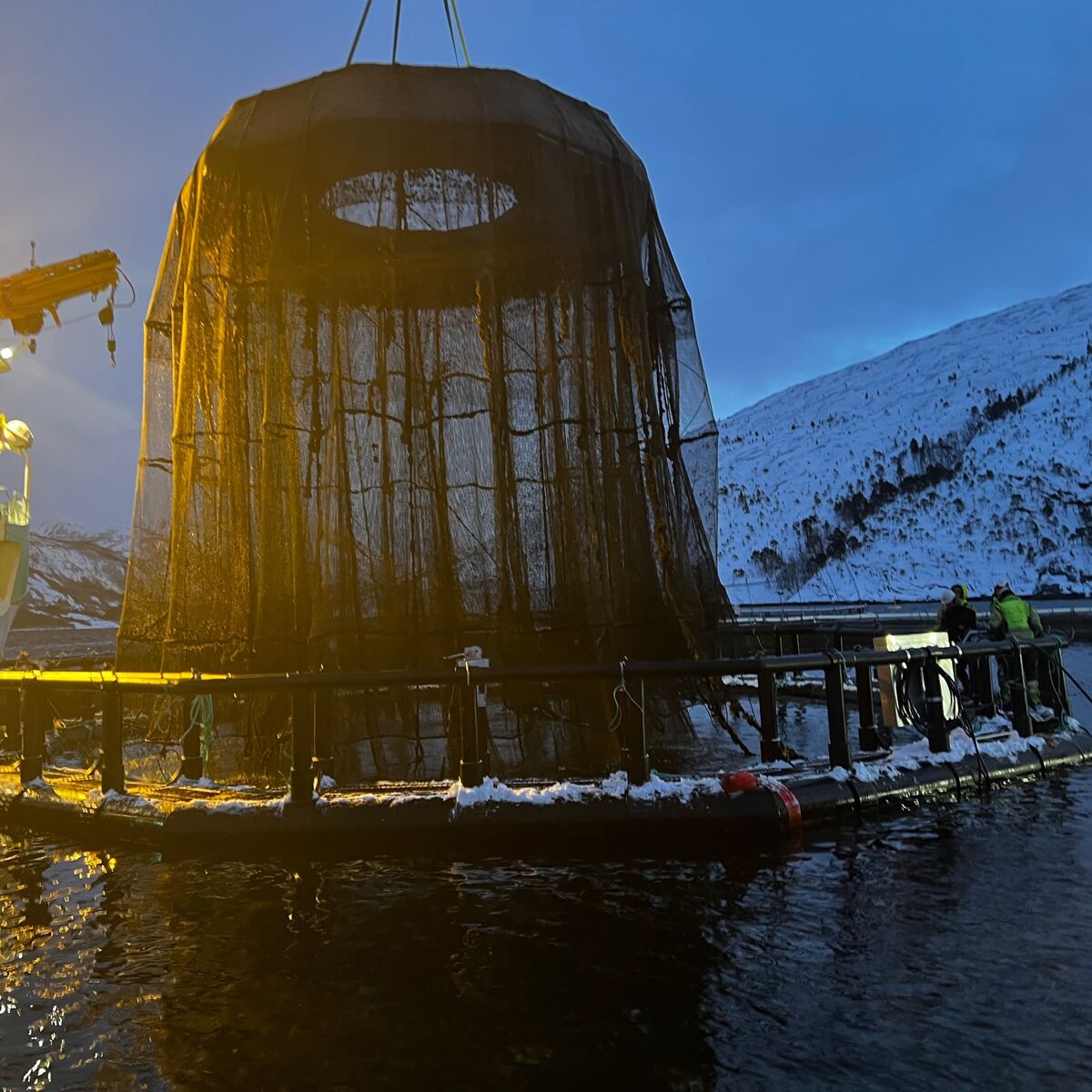 News from Cermaq - Cermaq Global